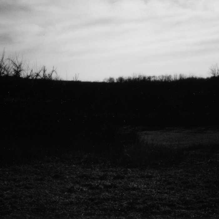 Falsum – Privation [Demo] - VM-Underground